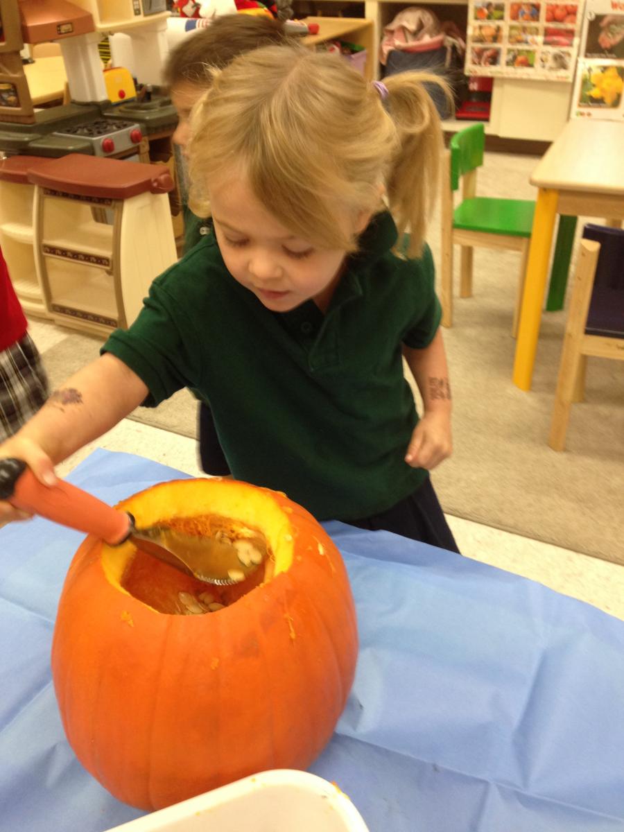 Carving our Classroom Pumpkin - St. Ignatius Parish School